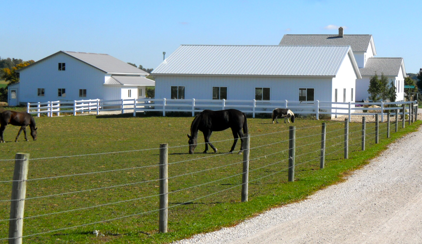 An Amish Farming Success Story – Saloma Miller Furlong