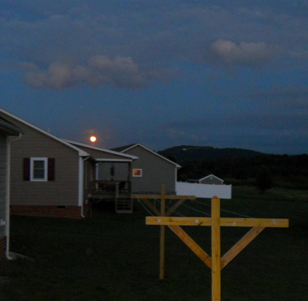 When Creativity Takes a Sharp Turn – Saloma Miller Furlong